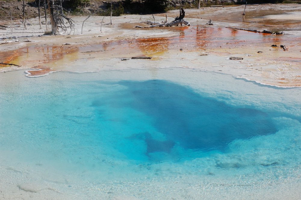 Cozy Flash: “Knight of the Wandering Spring” – Wyngraf